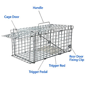 Gingbau Live Animal Trap for Squirrels