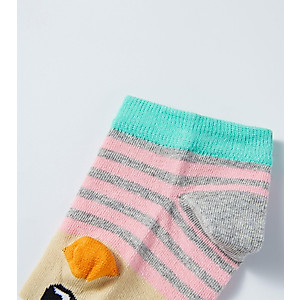 HONOW Women's Low Cut Toe Socks Ankle Cotton Running Socks(Pack of 5/6)