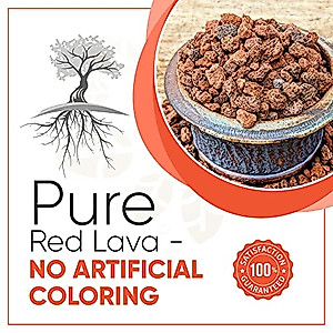 Tinyroots Red Lava Rock for Plants, 2.25 Quarts, Sifted Bonsai and Cactus Soil Additive, Maintains Proper Moisture, Used for Top Dressing, Volcanic Rock, No Dyes or Chemicals
