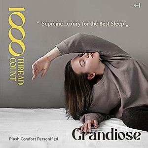 Mayfair Linen 100% Egyptian Cotton Sheets Set Queen - 1000 High Thread Count, Luxury 5-Star Hotel 4 PC Sateen Bed Sheets Queen Size, Soft, Breathable Extra Long Staple 16" Deep Pocket Sheets - Silver