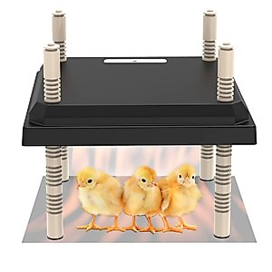 Tnarru (12'' x 12'') Chick Brooder Heating Plate, Brooder Heater for Chicks, Heat Plate with Adjustable Height and Angle for Chicken and Ducklings, Warms Up to 20 Chicks - 22 Watts