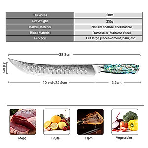 XT XITUO Butcher Knife – 10″ Cimitar & Breaking Knife Knife – Japanese VG-10 Damascus Steel – Full Tang & Razor Sharp – Ergonomic Abalone Shell Handle Design -Dazzling Series