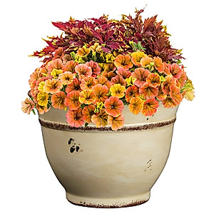 Classic Home & Garden 10512D 532R 12" Alena Planter, Vintage Ivory Enamel