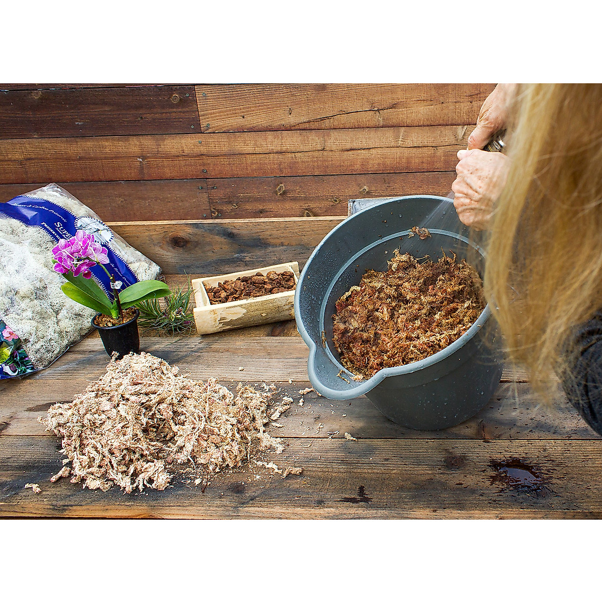 SuperMoss (22325) Orchid Sphagnum Moss Dried, Natural, 1 Pound Mini Bale