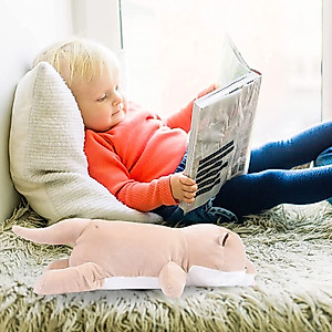 AEECASI Cute Otter Plush,Soft Sea Otter Stuffed Animal Hugging Pillow,Sea Otter Plushie Gift for Boys Girls Kids Toddlers,Adorable Sea Animal Plush Toy,Creative Stuffed Otter Decoration,20"