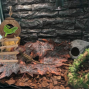 kathson Lizard Coco Den with Ladder, Bearded Dragon Tank Accessories Gecko Coconut Husk Hut with Jungle Climber Vines with Suction Cups Habitat Décor