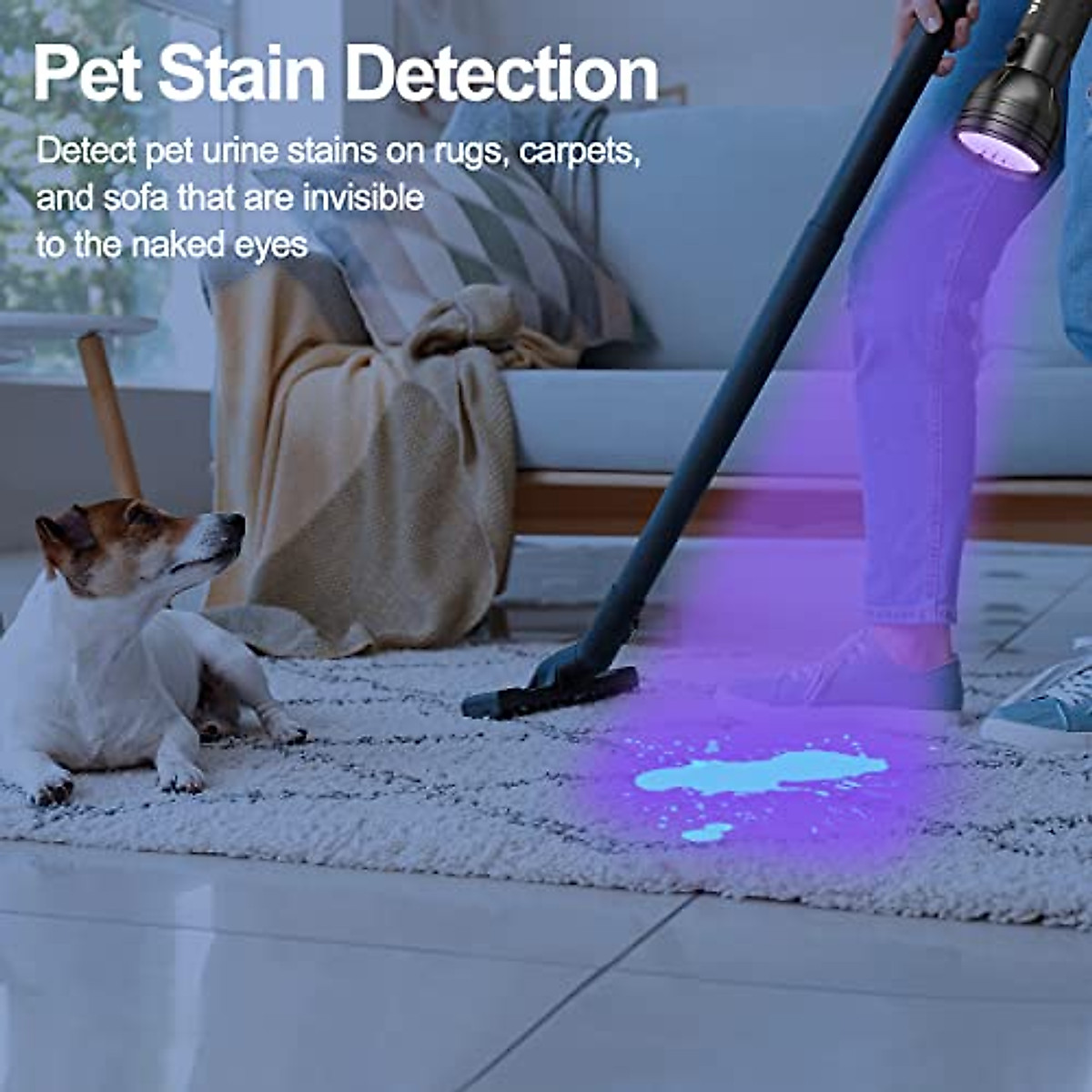 Vansky UV Flashlight Black Light, 51 LED Blacklight Pet Urine Detector for Dog/Cat Urine, Dry Stains, Bed Bug, Matching with Pet Odor Eliminator