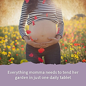 Garden of Life Organics Prenatal Vitamin: Folate for Energy & Healthy Fetal Development, Non-constipating Iron, Vitamin C, B6, B12, D3 – Organic, Non-GMO, Gluten-Free, Vegan, 30 Day Supply