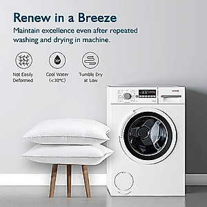 Dafinner Pillow (King)