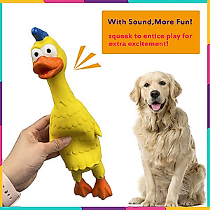 PetLike Squeaky Dog Toys Safe Latex Rubber Dog Toy for Small Medium Dogs Screaming Rubber Duck Dog Toys Set (Duck, 2 Pack)