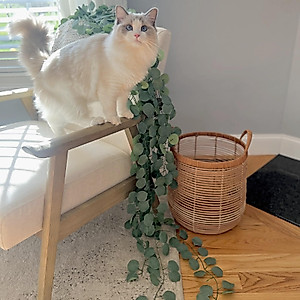 CQURE 8Pcs Eucalyptus Garland,Artificial Eucalyptus Leaves Table Greenery Garland Wreath Spring Garland Vines for Wedding Party Table Bedroom Wall Room Decor