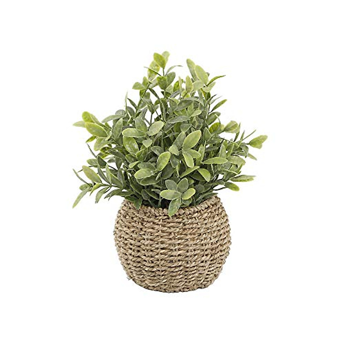 Flora Bunda Artificial Tealeaf in 6" Basket Pot
