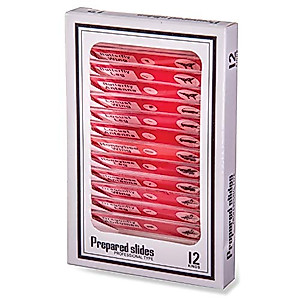 CARSON MM-02 12-Piece Prepared Slide Set (Insects)