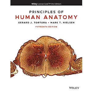 Principles of Human Anatomy