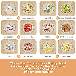 Aigostar Electric Mini Garlic Chopper, Cordless Mini Chopper Food Processor, Portable Small Food Chopper, Mini Garlic Chopper Blender for Onion Ginger Spice Meat, Veggie, Nuts, Baby Food, Puree 250ml