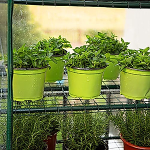 Worth Garden 50% Extra Wide Mini Greenhouse 5 Tier Portable Plant Green House 40in Wide -Sturdy Gardening Shelves with PVC Cover - Indoor & Outdoor Wheatgrass Growing - 19″x40″x75″