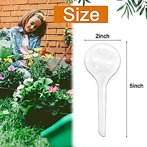 8 Pcs Clear Plant Watering Globes,Plastic Self-Watering Bulbs,Automatic Watering Globes,Garden Water Device for Plant Indoor Outdoor