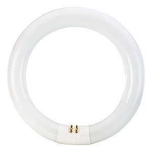 Philips 392357 Circline Fluorescent 22-Watt 8-Inch T9 Daylight Deluxe Light Bulb