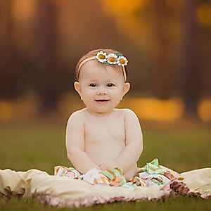 Felt Daisy Baby Headband- Two Groovy and Wild One Party Accessories, Woodland Baby Headbands, New Born Shooting Props, Half Birthday Flower Headband