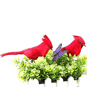 Firlar 12 Pcs Artificial Cardinal bird with Clip, 5.5 Inch Simulated Foam Bird Christmas Cardinal Birds Red-billed Ornaments for Wedding Decoration Home Garden Establishment Party Accessories