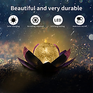 QZZP Solar Lights Outdoor Garden Decor,Crackle Globe Glass Decoration,Outside Waterproof Purple Metal Lotus Flower for Pathway,Walkway,Patio,Yard,Lawn,Tabletop,Ground