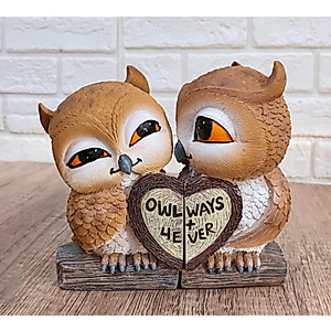 Ebros Romantic Kissing Love Owl Couple Decor Statue 2 Piece Set Decorative Figurine Valentines Birds Pair of Owls Holding Heart Shaped Sign Saying Owlways 4Ever