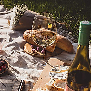 Simply Charmed Wine Glass Magnets - Fruit and Vegetable Magnetic Wine Glass Charms for Stemless Glasses - Set of 12 Drink Markers