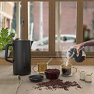 Glass Coffee Mugs - Xhftop 12 Ounces Double Wall Cups with Handle Set of 2 - Wall Insulated Glassware Cup (Inner Brown)