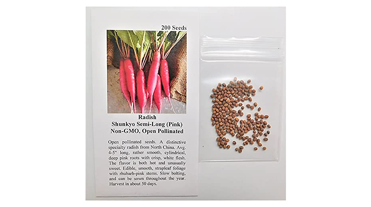 David's Garden Shunkyo Radish Seeds - Non-GMO Heirloom