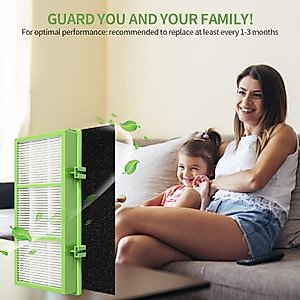 Gazeer True HEPA Replacement Filters for Holmes Aer1 Series Total Air Filter for HAPF300AH-U4R and HAP242-NUC(6 Pcs HEPA Filters + 8 Pcs Pre Filters)