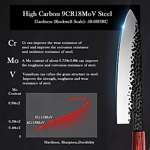 REDMOND Japanese Chef Knife 8 Inch, Super Sharp Gyuto Knife High Carbon 9CR18MoV Kitchen Knife, Professional Meat Knife with Ergonomic Handle, Gift Box