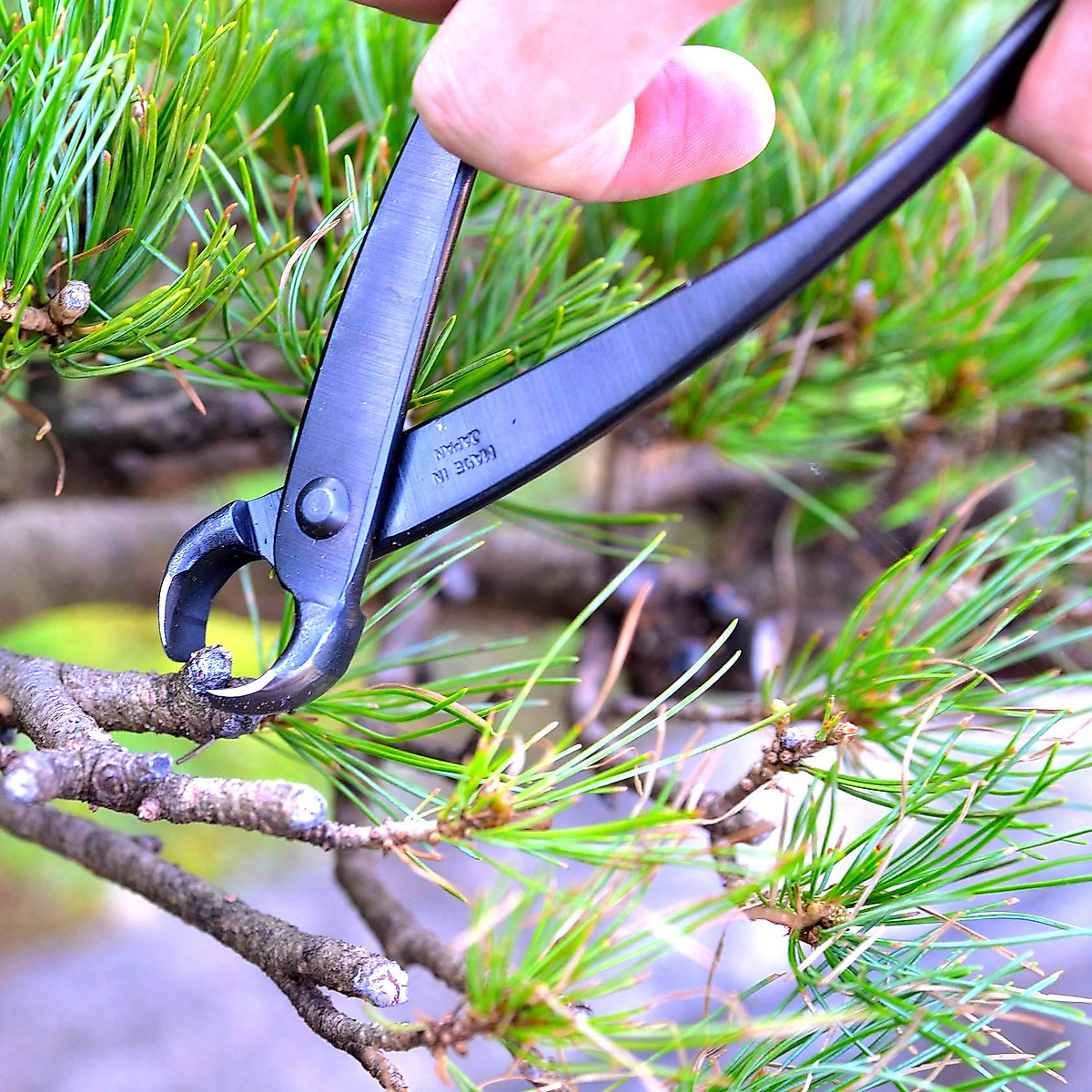 KAKURI Bonsai Knob Cutter 6.8" (175 mm) Professional Bonsai Tool, Japanese Carbon Steel, Concave Curved Blade, Black, Made in JAPAN