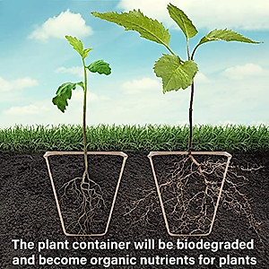 winemana 36 Set Plant Nursery Pots with Humidity Dome, Seed Starter Pots Biodegradable Peat Pots, Seedlings Planting Pots with Plant Labels for Indoor Outdoor Garden (Square)