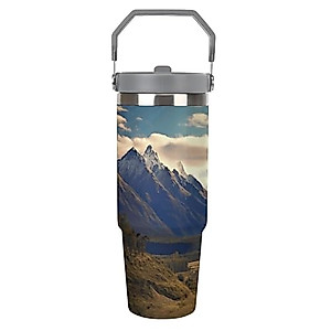WITHSBKK 30oz Car Cup Cook National Park Landscape Printed with Portable, Stainless Steel Travel Mug, Vacuum Insulated Tumbler And Straw, Leakproof for Car & Outdoor, UV Printed Design