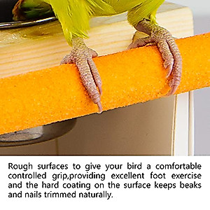 PANQIAGU Parrot Mirror Toy with Stainless Steel Feeding Cups Bird Wooden Frames with Cage Perch for Small Parakeets, Cockatiels, Conures, Finches,Budgie,Macaws, Parrots, Love Birds