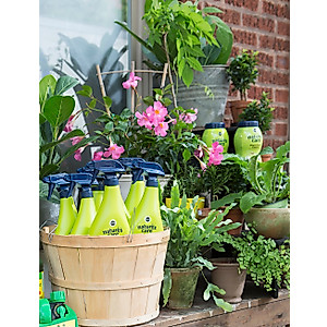 Miracle-Gro 0754210 RTU24 Nature's Care Garden Insect Control