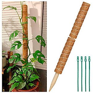 Moss Poles for Climbing Plants, 2 Pcs 12'' Coir Pole (Total 20'') with 4 Pcs Adjustable Plant Ties for Creepers Plant Support Extension, Climbing Plants Support Indoor
