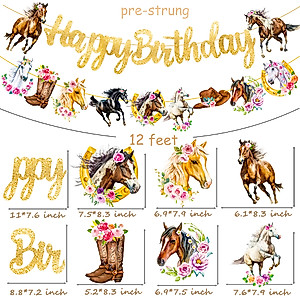 Cowgirl Happy Birthday Banner Cowgirl Birthday Party Supplies Glitter Western Cowgirl Theme Birthday Banners Decorations for Western Girl’s Birthday Party Horse Birthday Party Baby Shower Supplies