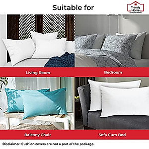 Trendy Home 12x20 Throw Pillow Insert (pack of 2, White), Bed and Couch Pillows Stuffer Hypoallergenic, Lumbar Support Decorative Home Outdoor Pillow Filler (Non Woven, 2 Pack)