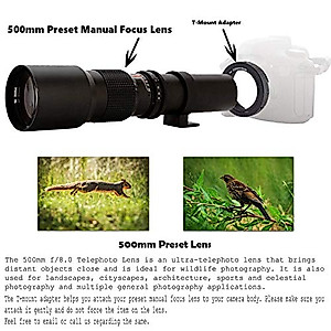 Canon EOS Rebel T7 DSLR Camera + Canon EF-S 18-55mm + Canon 75-300mm & 500mm Telephoto Lens + Wide Angle & Telephoto Lens + Macro Filter Kit + 64GB Memory + Accessory Kit (Renewed)