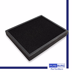 PUREBURG BS-10 True HEPA Replacement Filters Compatible with PARTU BS-10 Air Purifier,H13 3-Stage Filtration Activated carbon Air Clean Dust VOCs Odor, 2-Pack