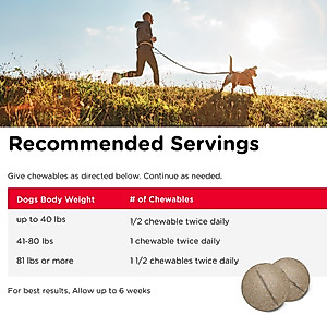 Nutri-Vet Hip & Joint Chewable Dog Supplements - Formulated with Glucosamine & Chondroitin for Dogs - 180 Count