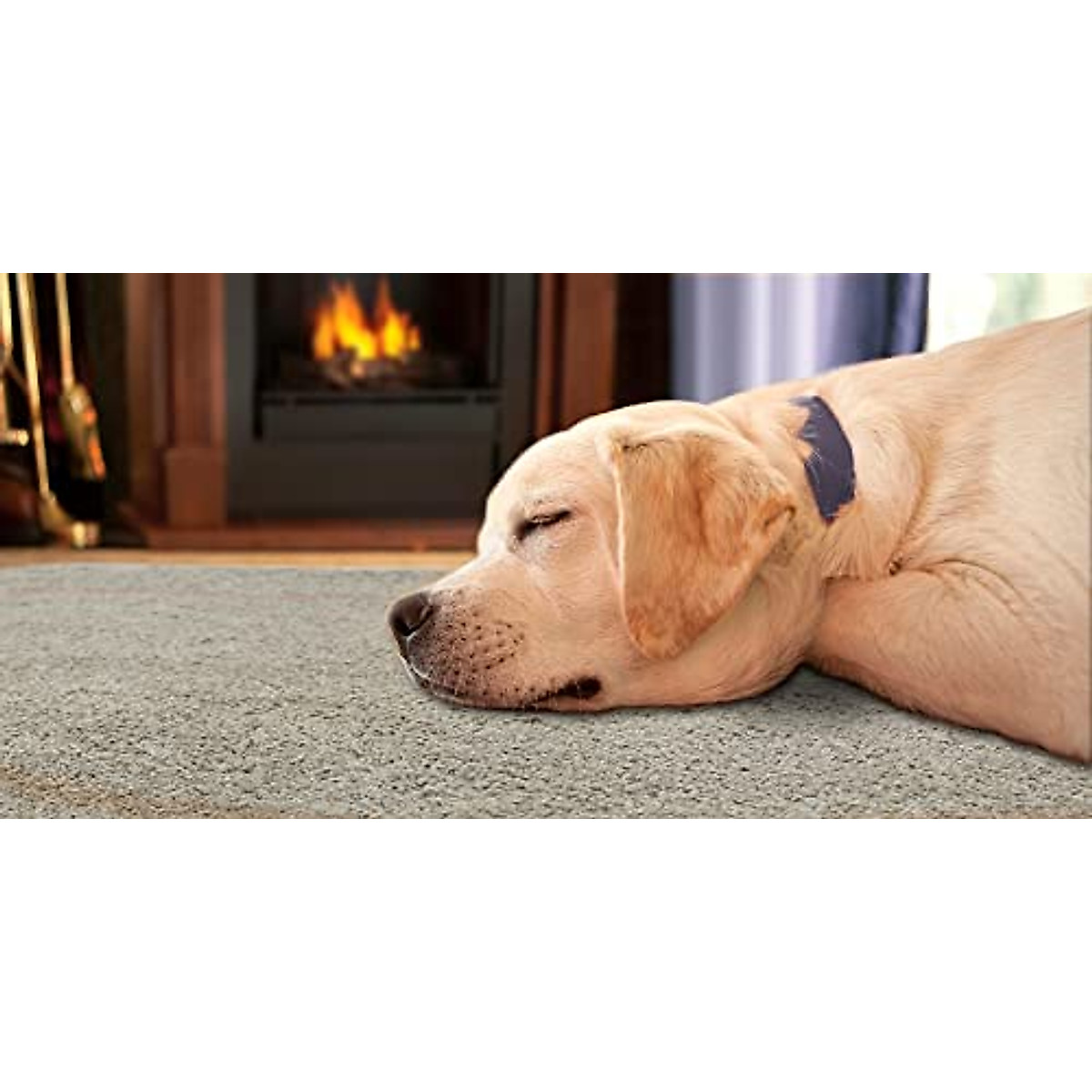 COTTON CRAFT Pure Wool Fireplace Rug - Half Moon Hearth Area Rug Carpet - Fire Resistant Hand-Tufted Fireplace Mat - Entryway Cabin Kitchen Anti Fatigue Half Round Accent Rug - 22 X 44 - Natural Tan