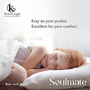 Velfont 3Pcs Duvet Cover Set 100% Egyptian Cotton 800 Thread Count Duvet Cotton with Zipper Closure & Corner Ties, Super King Size (116" x 98") Inch, Plum Solid