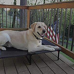 Lucky Dog 42'' Elevated Pet Bed Cot | Indoor & Outdoor Use | Gray