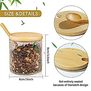 DI QIU REN 2Pack Condiment Canister Pot, Glass Spice Salt Jar Salt Container with Lid & Spoon, 9.5Oz Clear Salt Bowl Salt Dispenser Sugar Dish for Home Kitchen Cafe Table Countertop