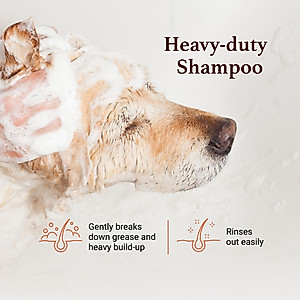 iGroom Squeaky Clean Dog Shampoo, Luxury Pet Beauty Care, Intense Cleaning Power, Chamomile Extracts Sooth Skin, Made in USA (1 GAL)