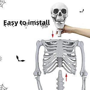 5.4Ft/165cm Halloween Skeleton Full Body Life Size Human Bones with Movable Joints for Indoor Outdoor Halloween Props Decorations