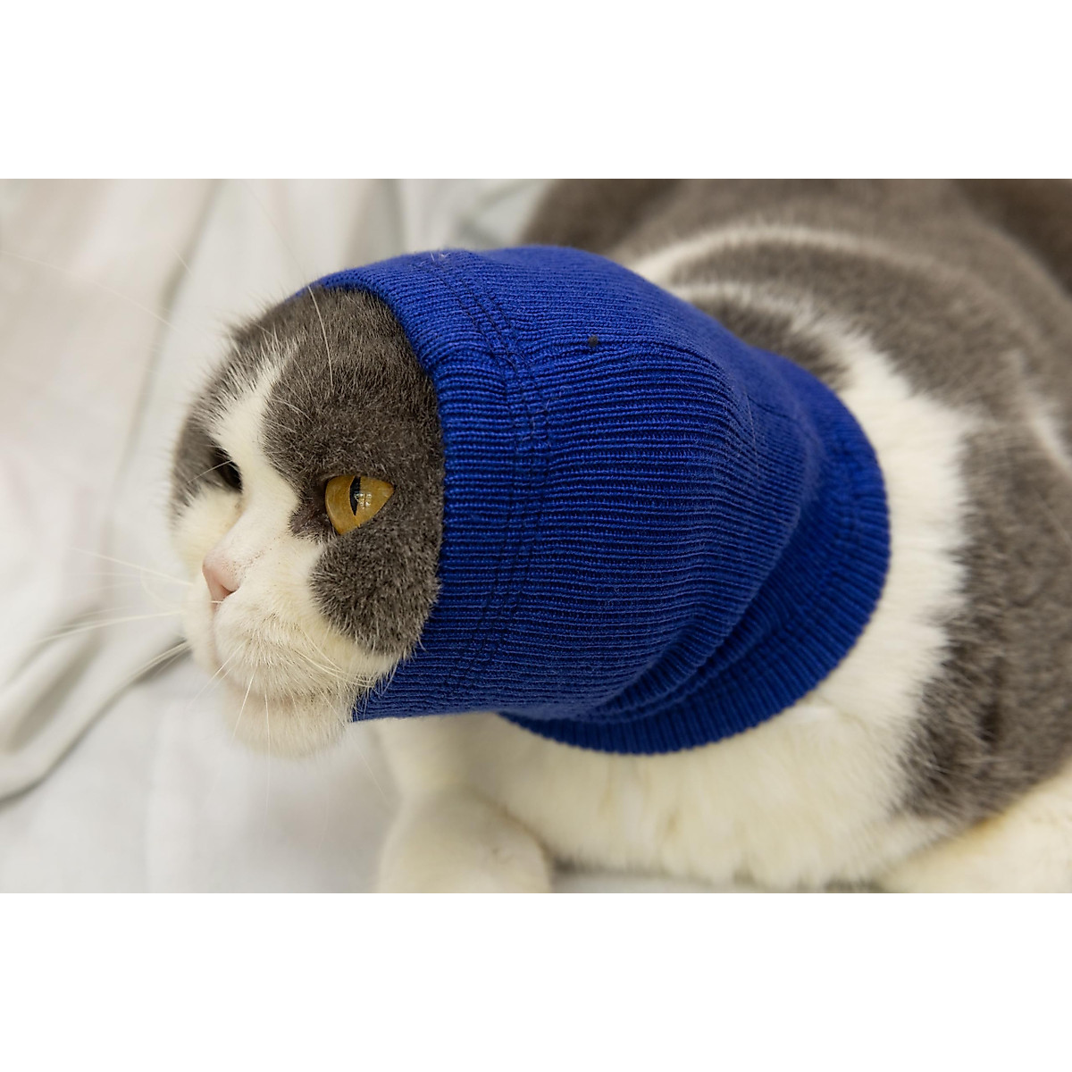 DDFS 2 Pack Cat No Flap Ear Wrap, Hoodie Anxiety Pet Earmuffs No Flap Ear Wrap Cat Small in Bath - Blue+Grey S