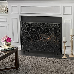 Christopher Knight Home Valeno Single Panel Iron Fireplace Screen, Black
